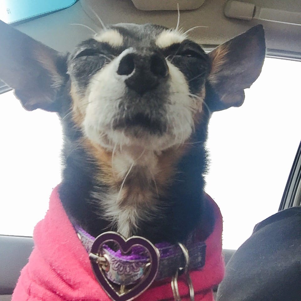 Tribute for Mumu - Caring Pathways