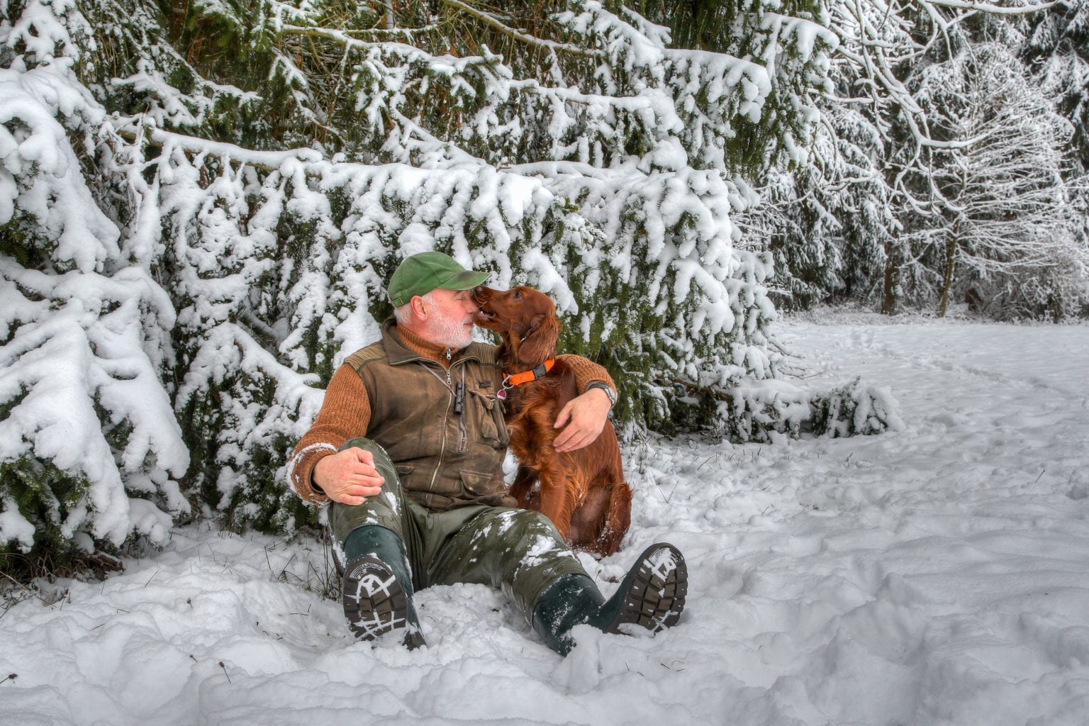 10 Proven Ways Pets Improve Mental Health: Science-Backed Benefits ...