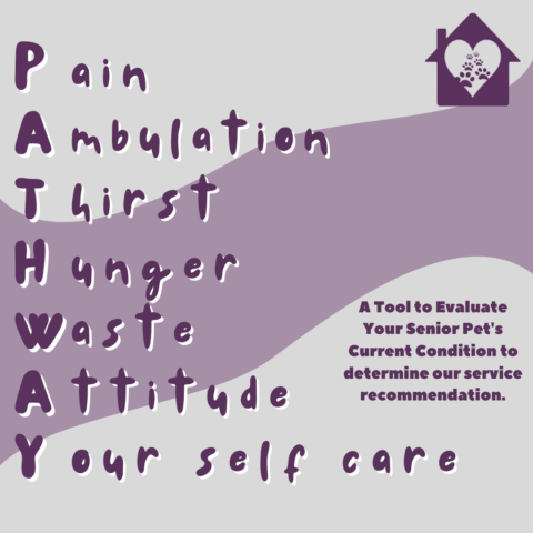 Pathway to Care Assessment - Caring Pathways