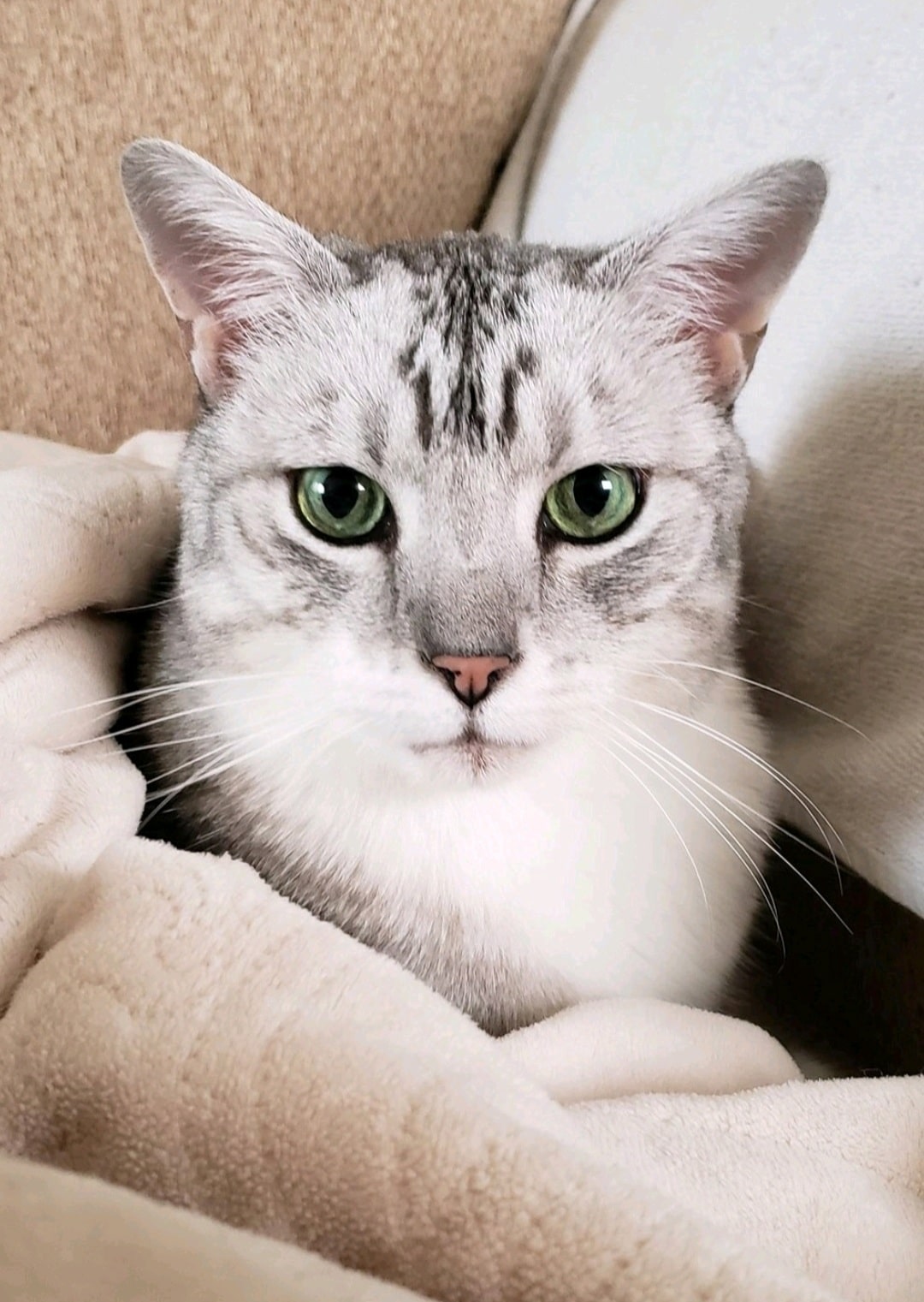 A Testimonial from Stephanie & Dave - Caring Pathways