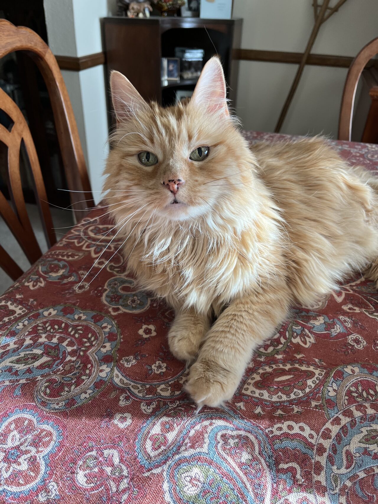 Emma Allison - Caring Pathways